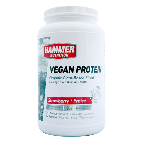 Hammer Vegan Protein Bar at Fernande Frank blog